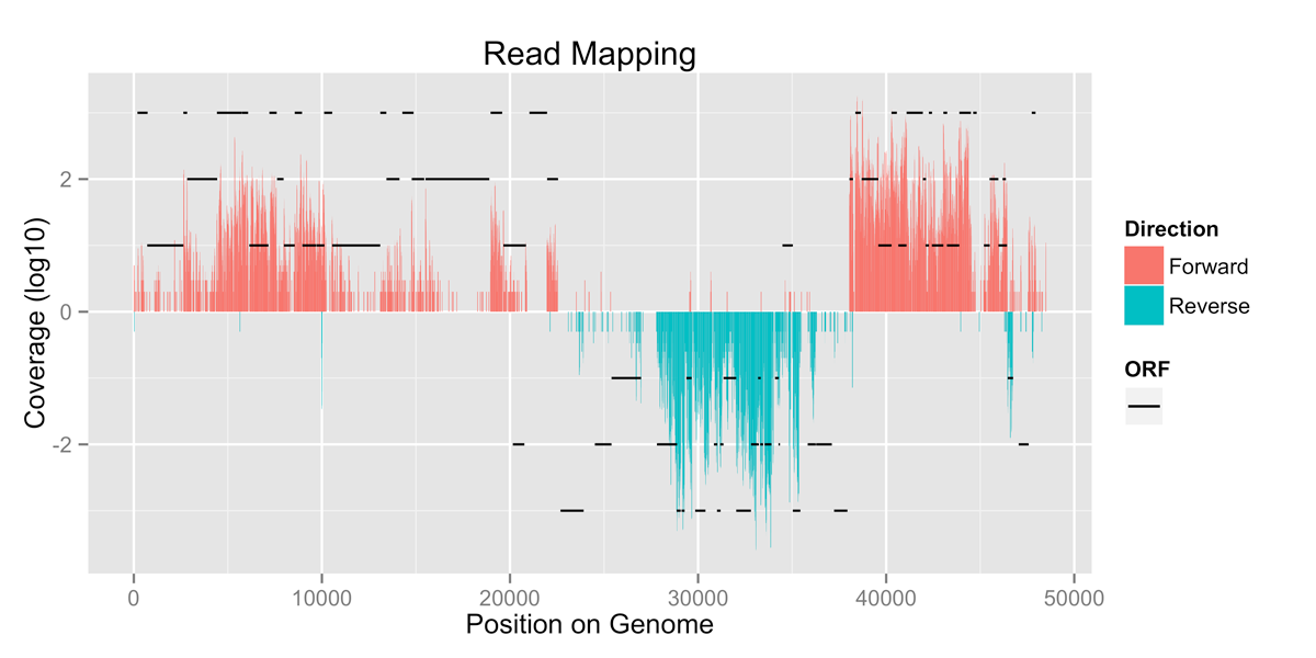 ReadMapper: a program that maps sequencing reads to a nucleotide ...